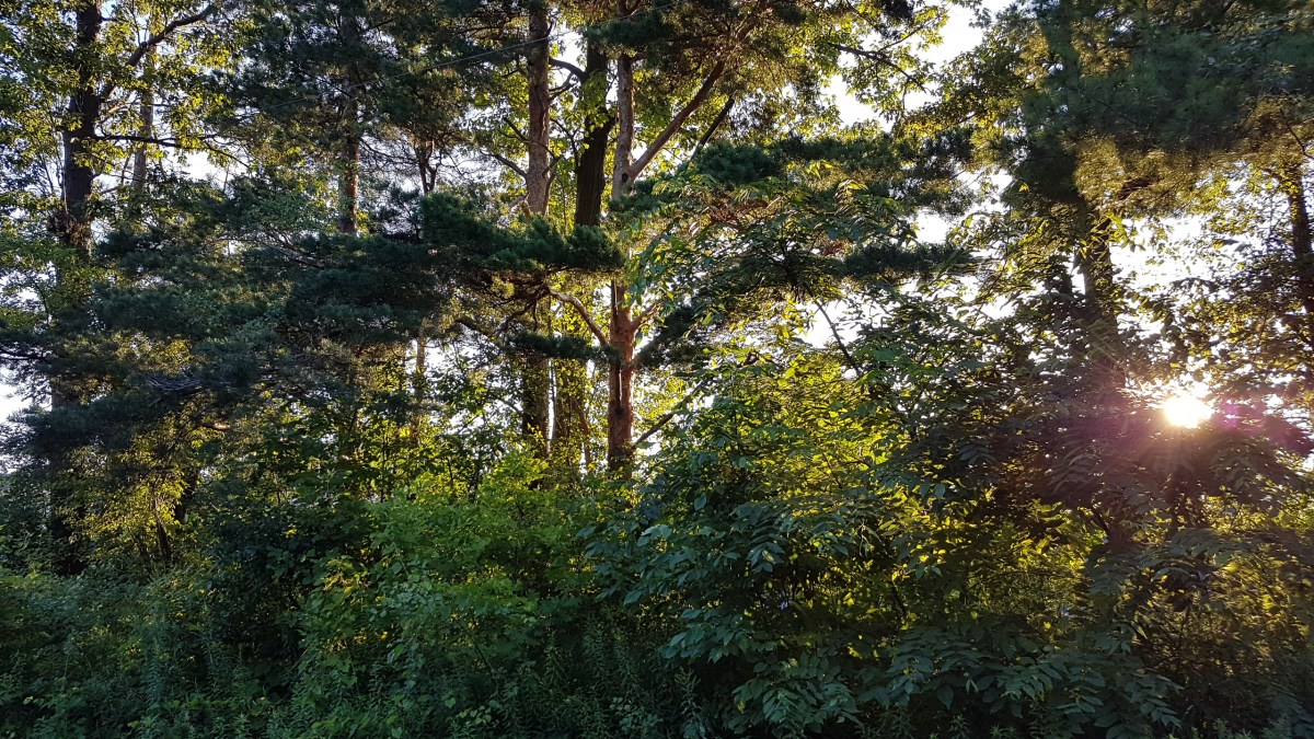 Sunday Chuckle? | mikeladano.com