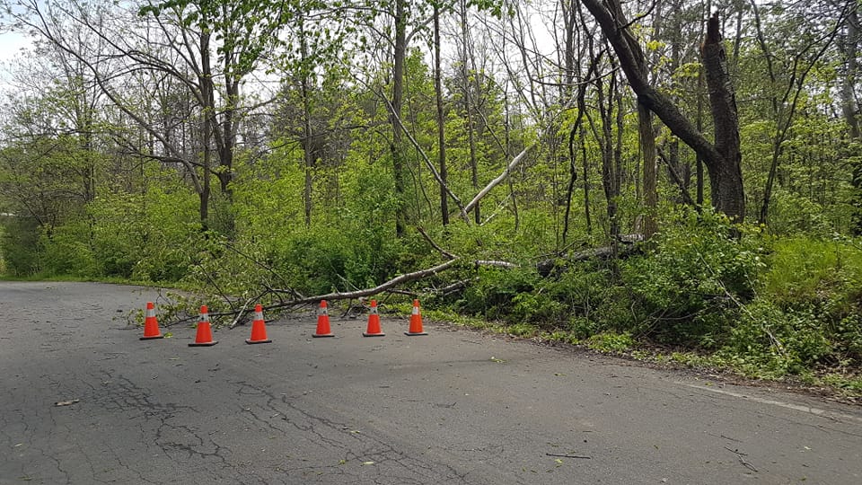 Who do you think you are, Benjamin Franklin? (Sunday Chuckle ...