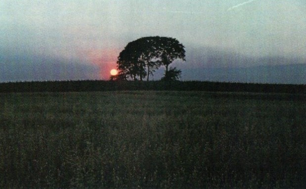 REVIEW: Pat Metheny – Bright Size Life (1976) | mikeladano.com