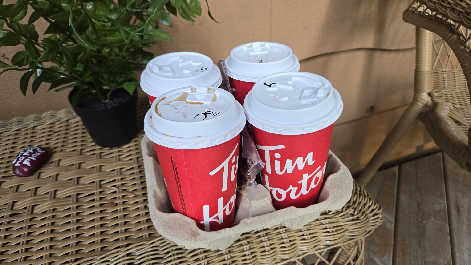 20240905_1908261744066429569585874 | mikeladano.com